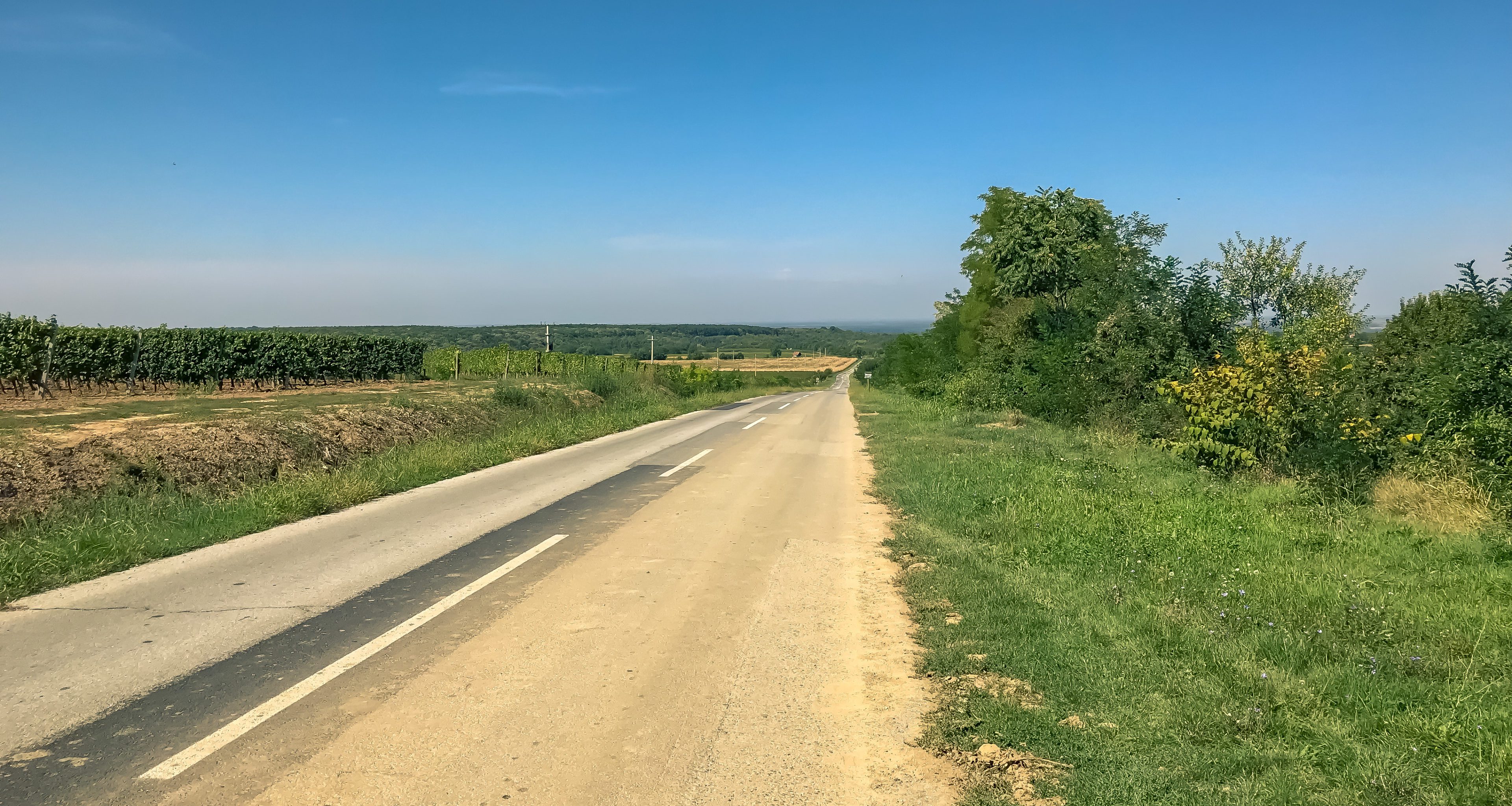 The best festivals and top events in Syrmia (Srijem)